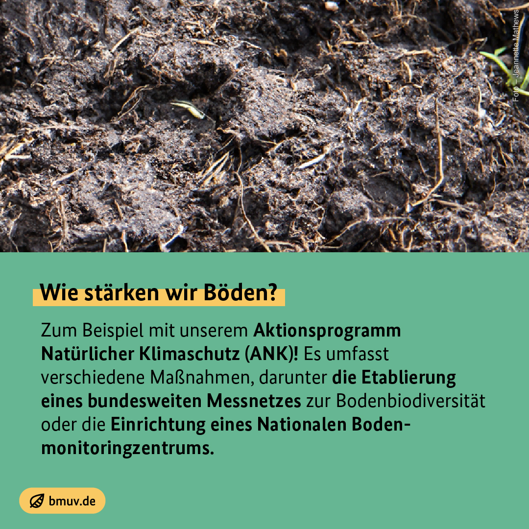 BMUKN: Der Boden – ein Alleskönner | Infografik
