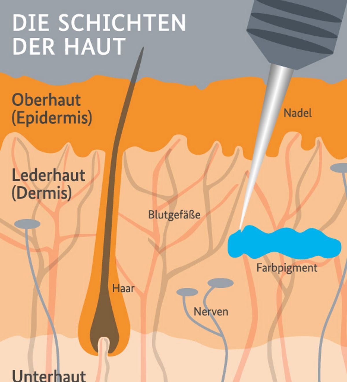 Hautschichten Tattoos